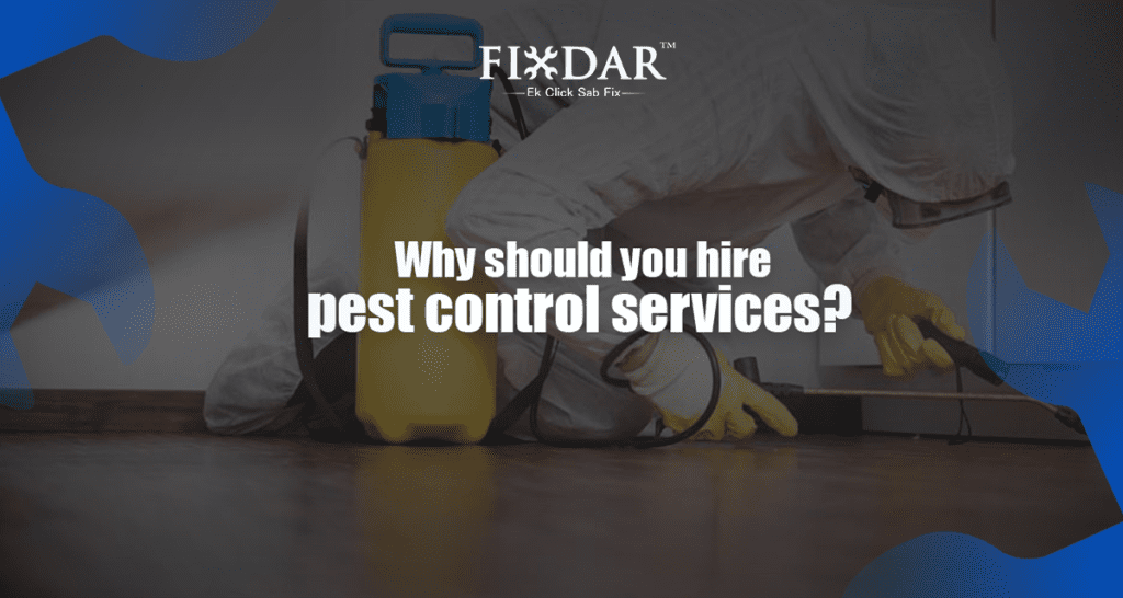 Why Should You Hire Pest Control Services? | FixDar